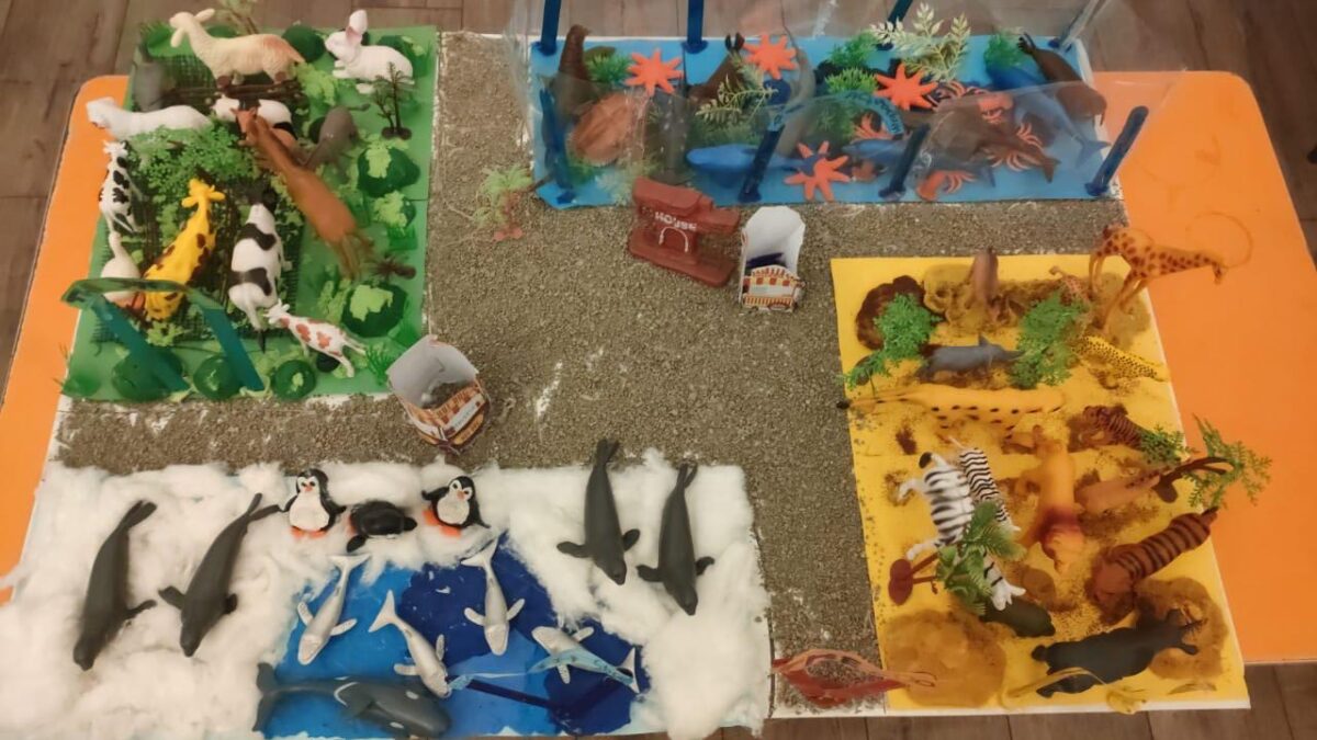 🌟 “Grade 3 Students Build Their Own Zoo!” 🦁 – American City ...