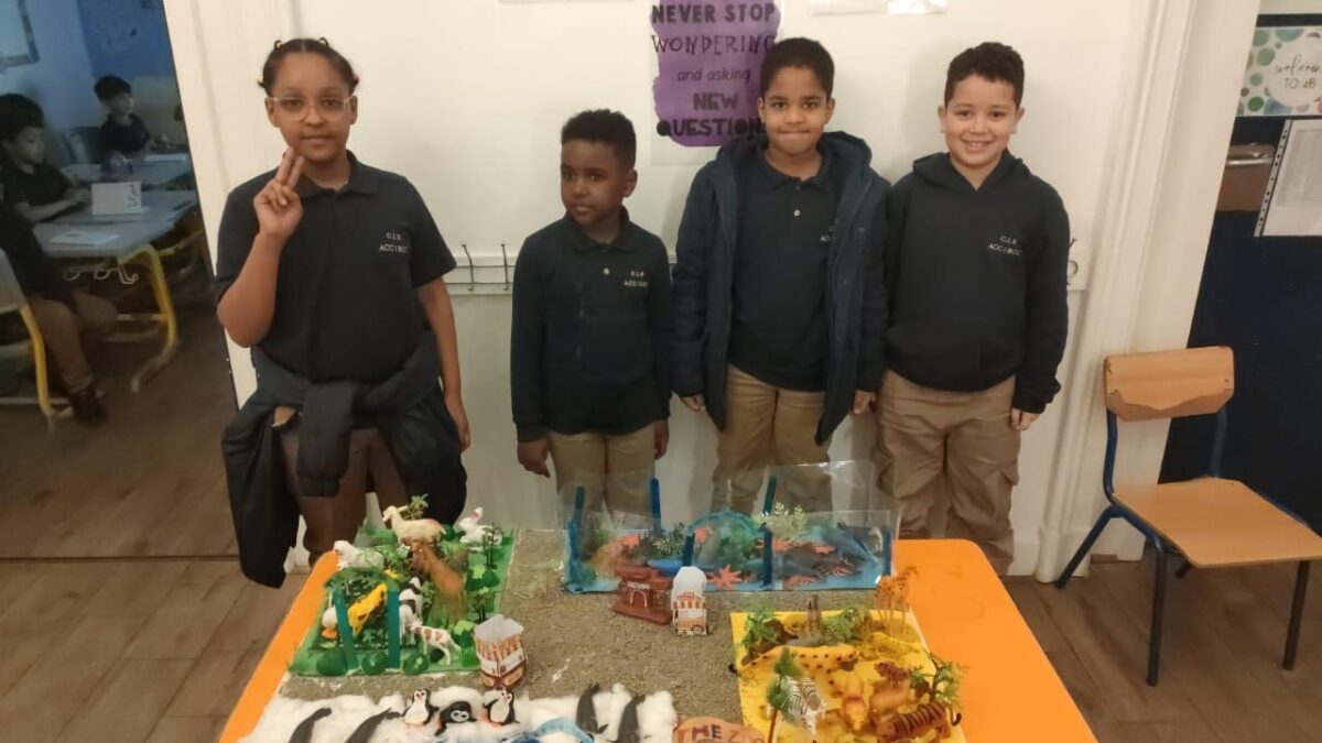 🌟 “Grade 3 Students Build Their Own Zoo!” 🦁 – American City ...